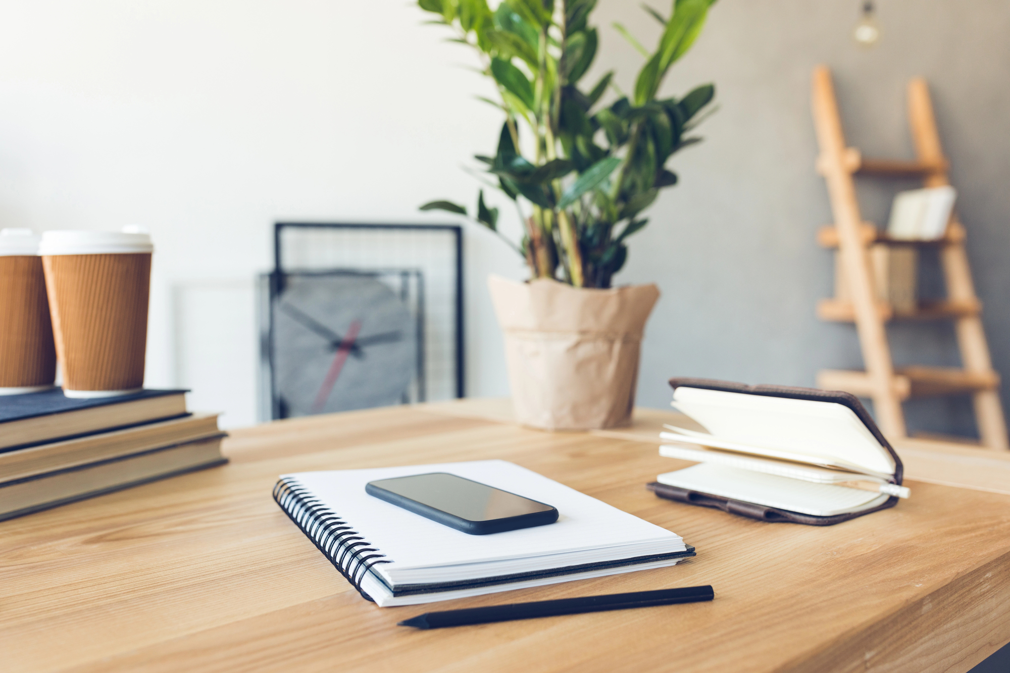 Angie Fish at School of Fish TeachingAbout